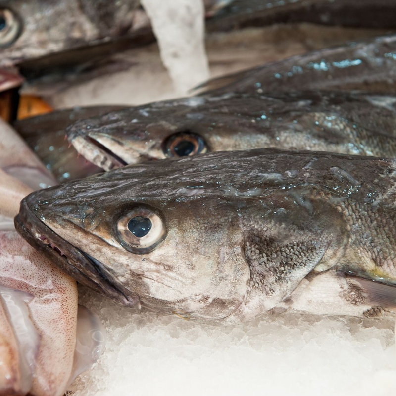 Transporte-de-mercancias-perecederas-2 – Grupo TRANS-ILLES